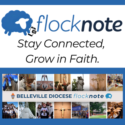 Diocese of Belleville, IL