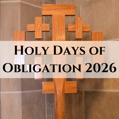 Welcome [catholiccharitiessil.org]