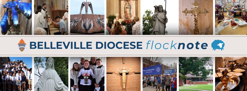 Flocknote: Stay Connected, Grow in Faith